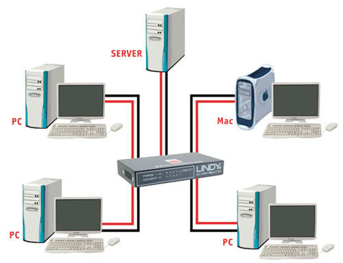 Delhi University Library System