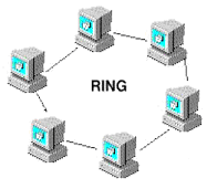 Delhi University Library System